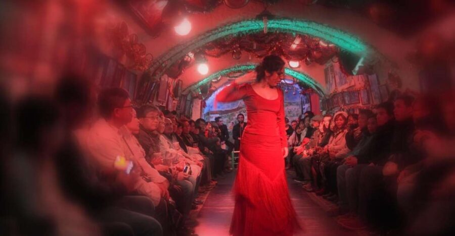 Granada: Sacromonte Caves Flamenco Show - The Experience at Cueva La Rocio