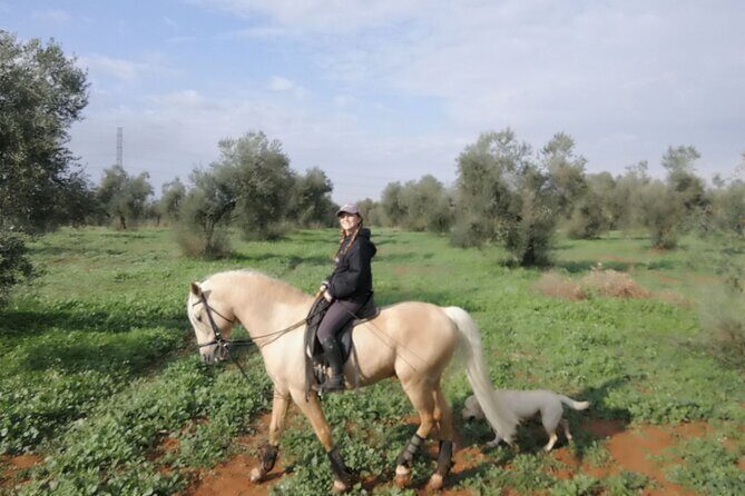 Granada & Sierra Nevada Horse Riding Tour - What We Loved and What to Keep in Mind