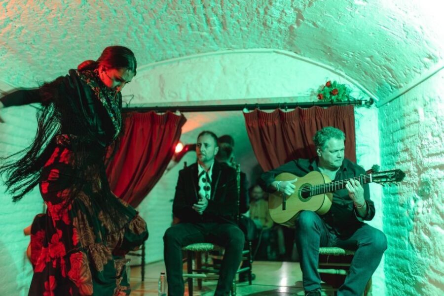 Granada: Traditional Flamenco Show in a Cave Entry Ticket - What to Expect During the Show