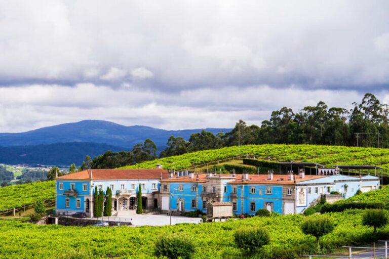 Granbazán Winery: Guided Tour and Wine Tasting - Deep Dive into the Experience