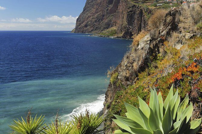 Grand Madeira Island Tour - Porto Moniz and Santana - Authentic Insights from Reviewers