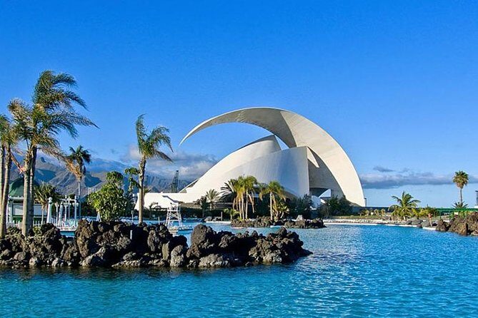 Grand Tour Tenerife - Full-Day Private VIP Tour - Who Should Consider This Tour?