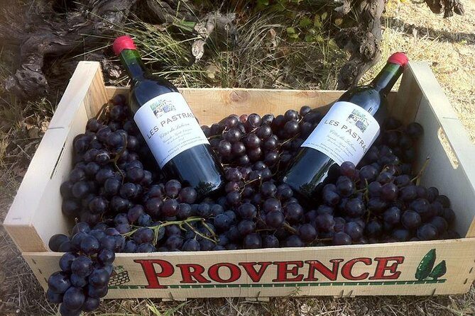 Grape Stomping in Provence - Practical Details and What the Price Gets You