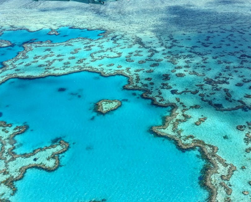 Aerial view of heart-shaped reef formation