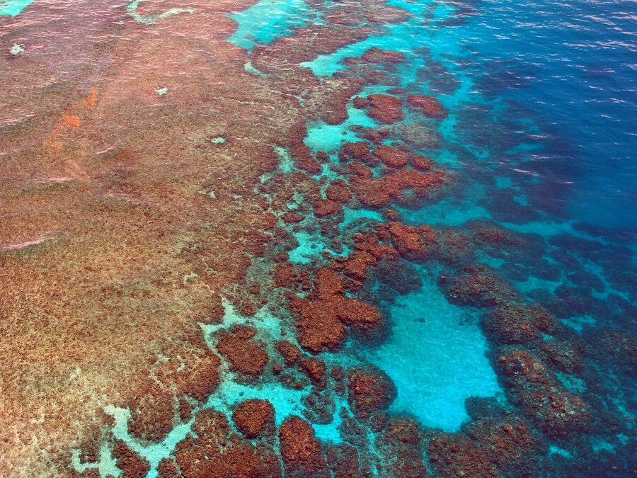 Aerial view of an outer Great Barrier Reef coral platform