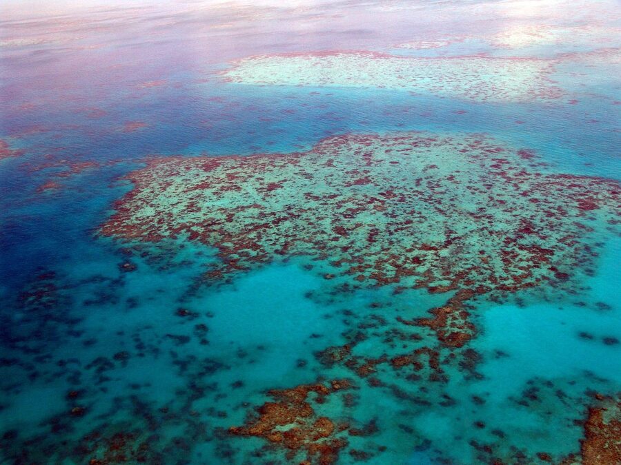 Great Barrier Reef coral patterns from above