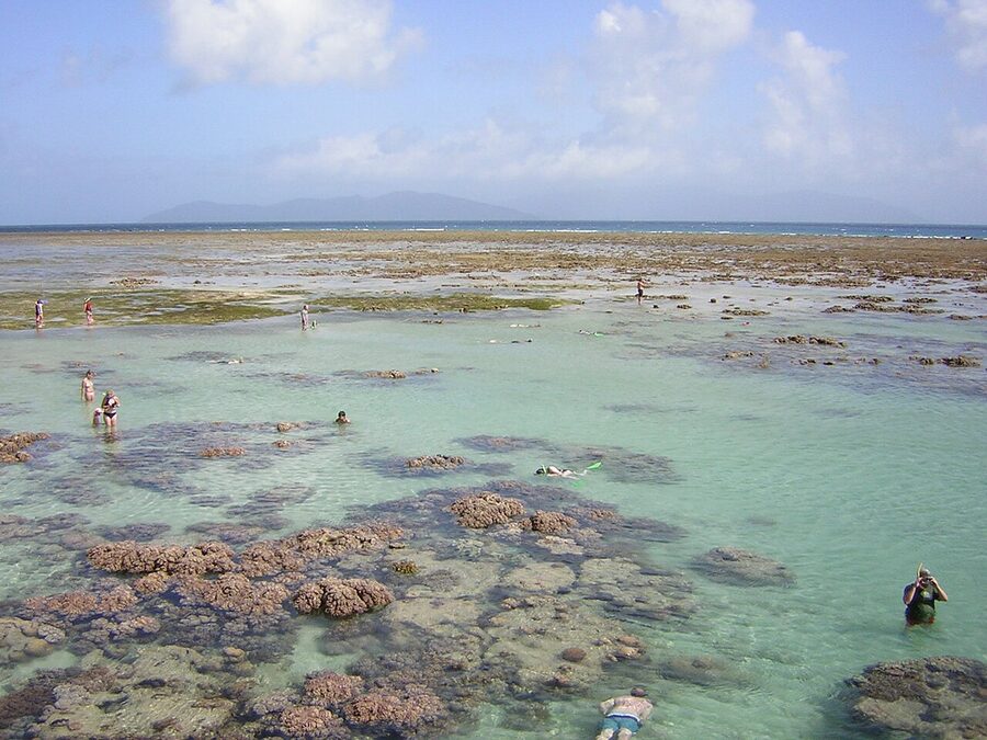 Green Island Cairns from sea level