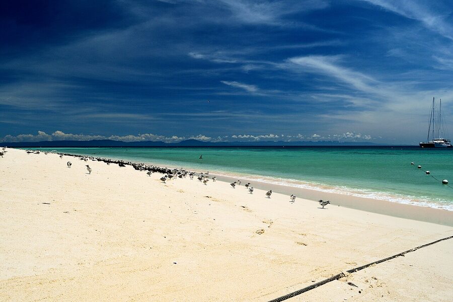 Michaelmas Cay sand bar in the Great Barrier Reef