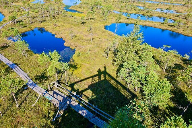 Great emeri Bog and Swamp Forest Hiking Adventure - Authentic Insights from Travelers