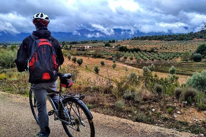 Greenway Section Cretas - Horta de Sant Joan 11km (90% descending 10% flat) - Who Will Love This Tour?