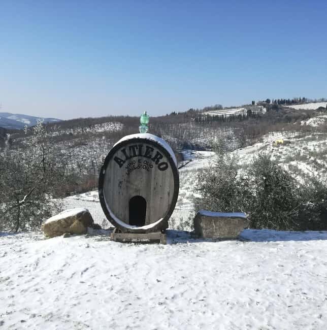 Greve in Chianti: Tour and tasting of organic Chianti Classico and Tuscan snacks - The Practicalities and Value