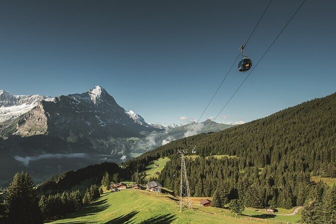 Grindelwald First - Top of Adventure from Lucerne - What to Expect: Practical Insights