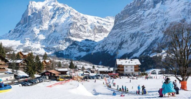 Grindelwald: Sledding at Bodmi Arena - What to Expect at Bodmi Arena