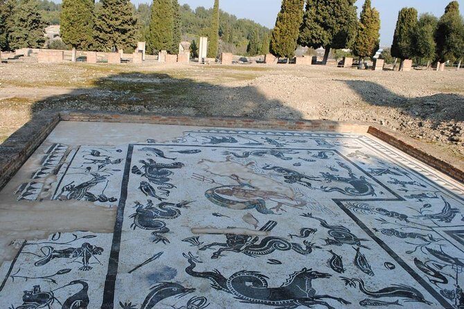 Group Excursion from Seville to Italica (Seville Roman Town) - The Reviewers Perspective: Pros and Cons