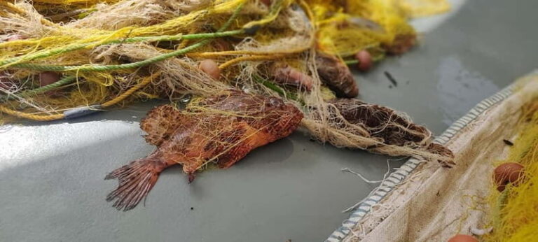 Group Morning Tour to Polyaigos - Real Guest Insights and Hidden Gems