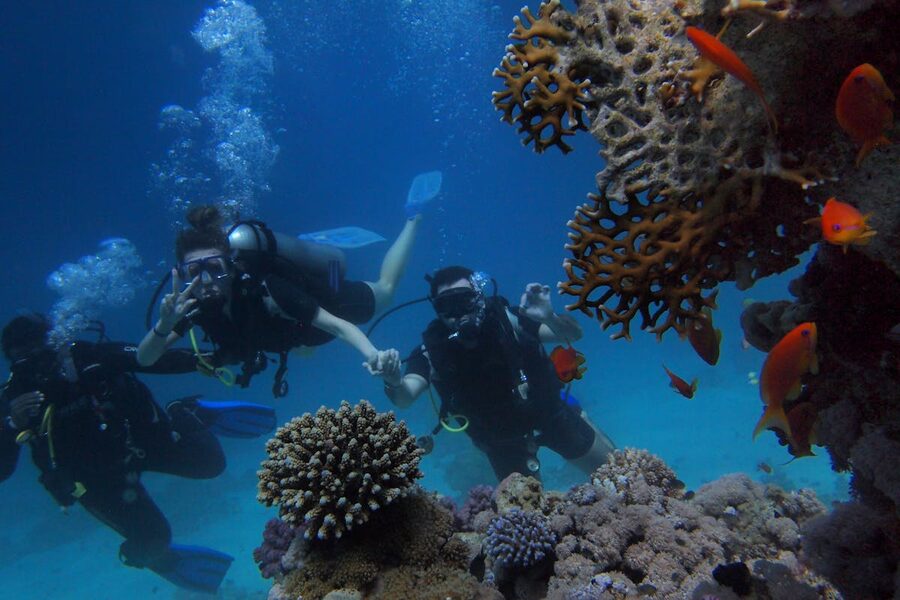 Group of scuba divers near colorful coral reef
