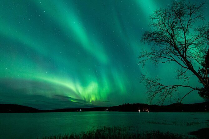 Guaranteed Aurora Hunting Tour from Rovaniemi with Local Guide - The Itinerary in Detail