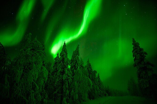 Guaranteed Northern Lights Hunting Adventure in Lapland - Who Is This Tour Best For?