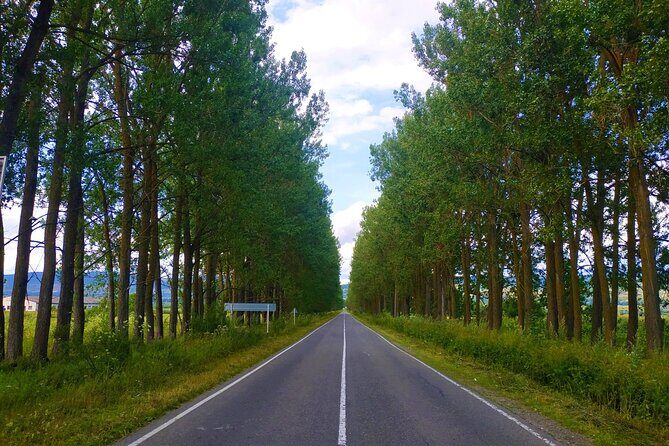 Gudauri Tour with Sabaduri Forest, Ananuri, Panorama Gudauri - Who is This Tour Best For?