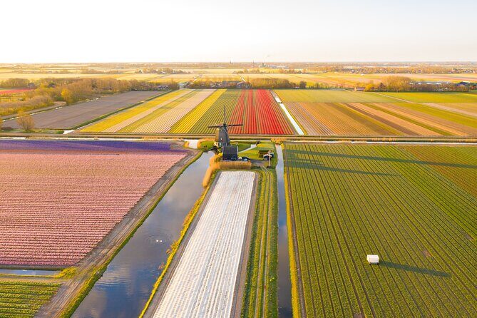 Guided Bike Tour along the Dutch Tulip Fields in Noord Holland - Authentic Experiences that Shine