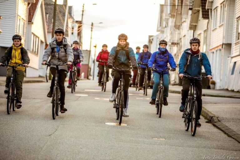 Guided E-Bike Tour in Haugesund: city, vikings, Rising Tides - What to Expect from the Tour
