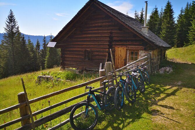 Guided e-bike tour of the alpine pastures in the Salzkammergut - Who Will Love This Tour?