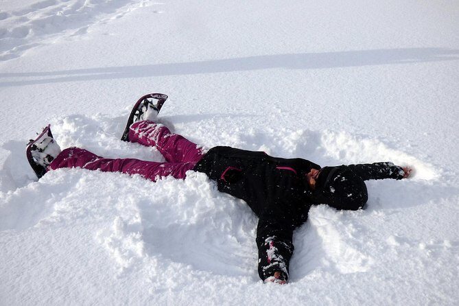 Guided easy snowshoeing with a visit to local café - Authentic Feedback from Travelers