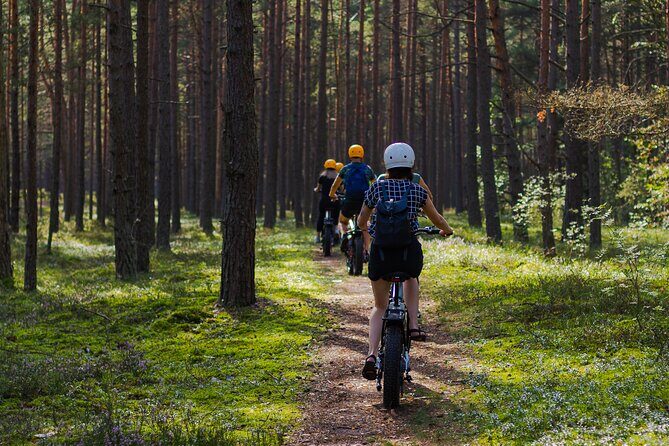 Guided Ebike Tour on Forest Roads and Trails Near Riga - The Experience and Equipment