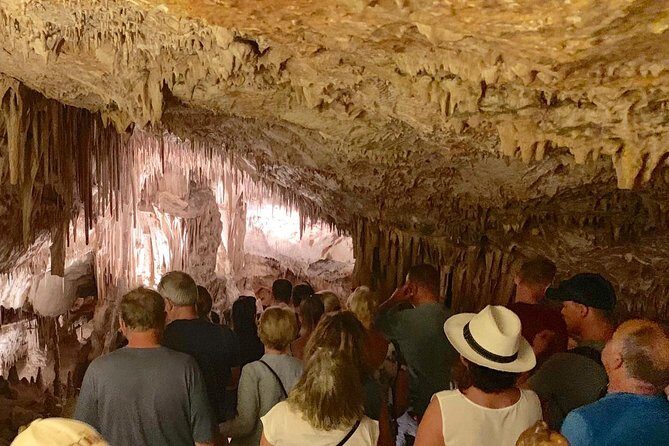 Guided Full-Day Tour of Drach Caves, Porto Cristo & Pearl Factory - Who Will Enjoy This Tour?
