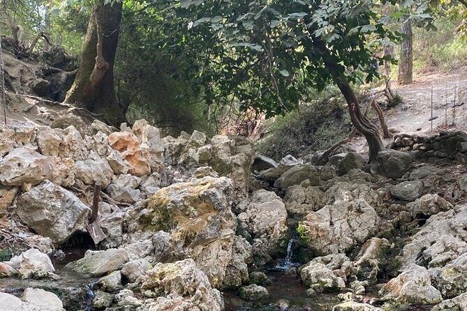 Guided hike to the seven springs from Archangelos - Final Thoughts