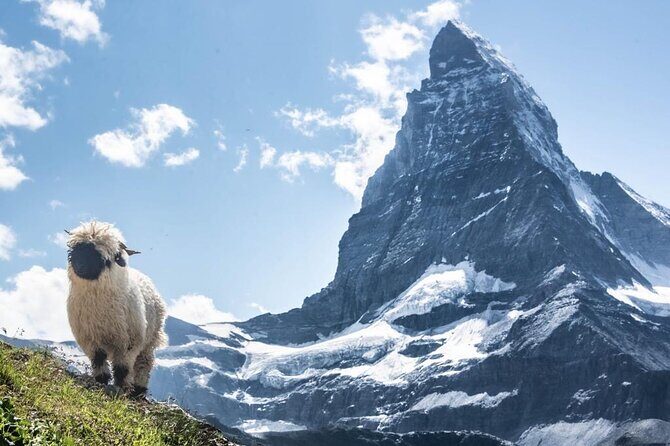 Guided Hiking Half Day in Zermatt - Who Would Love This Experience?