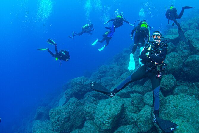 Guided Immersion from Santa Cruz de Tenerife - Exploring the Tour in Detail