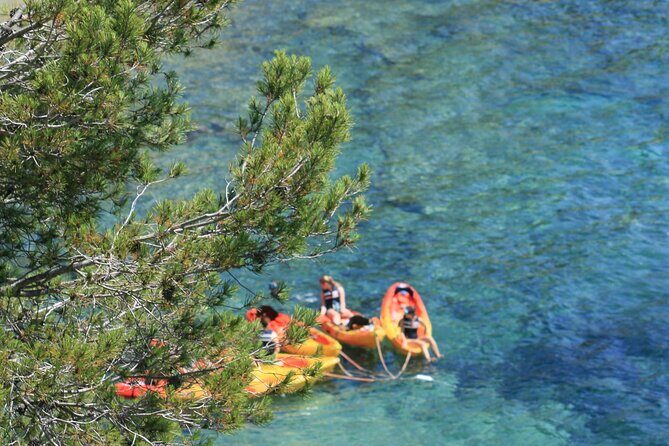 Guided Kayak and Snorkeling Tour on the Costa Brava: Sant Feliu - Why Travelers Keep Coming Back