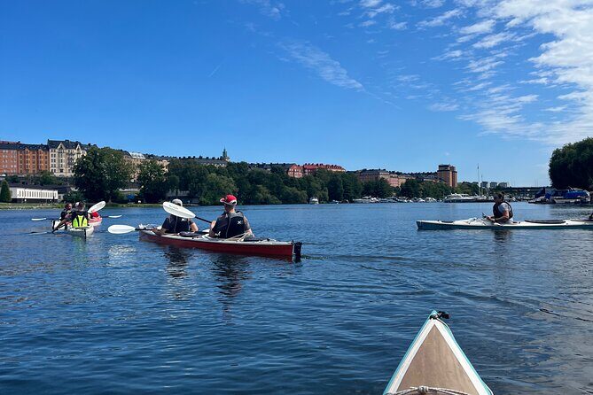 Guided Kayak Tour in Central Stockholm - Price and Value Analysis