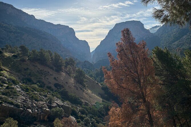 Guided Kings Way without Transportation - Meeting Points and Timing