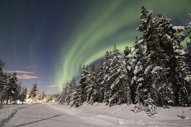 Guided Northern Lights Tour at Kiruna - Final Summary
