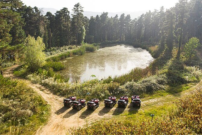 Guided Sapanca and Masukiye Full Day Tour from Istanbul - Authentic Experiences & What Travelers Say