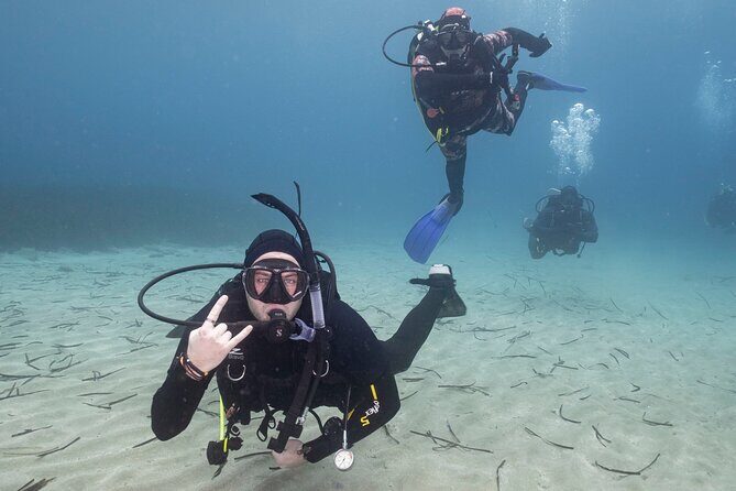 Guided SCUBA Diving for Certified Divers in Athens - Final Thoughts