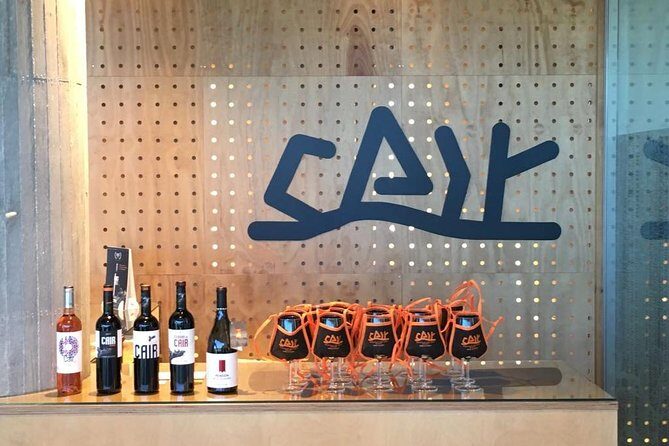 Guided tour glass in hand with wine tasting directly from the barrel - Why This Tour Offers Great Value