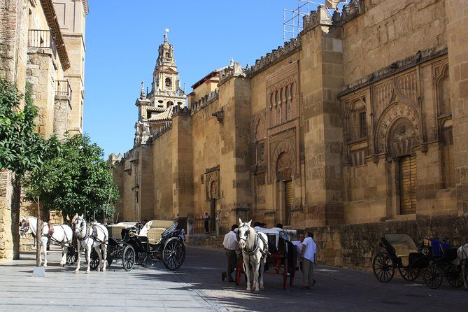 Guided Tour Jewish Quarter and Mosque-Cathedral of Córdoba with tickets - What Do Real Travelers Say?