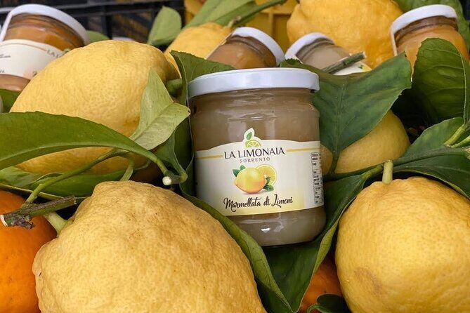 Guided tour of a historic lemon grove in Sorrento - Practical Tips for Future Visitors