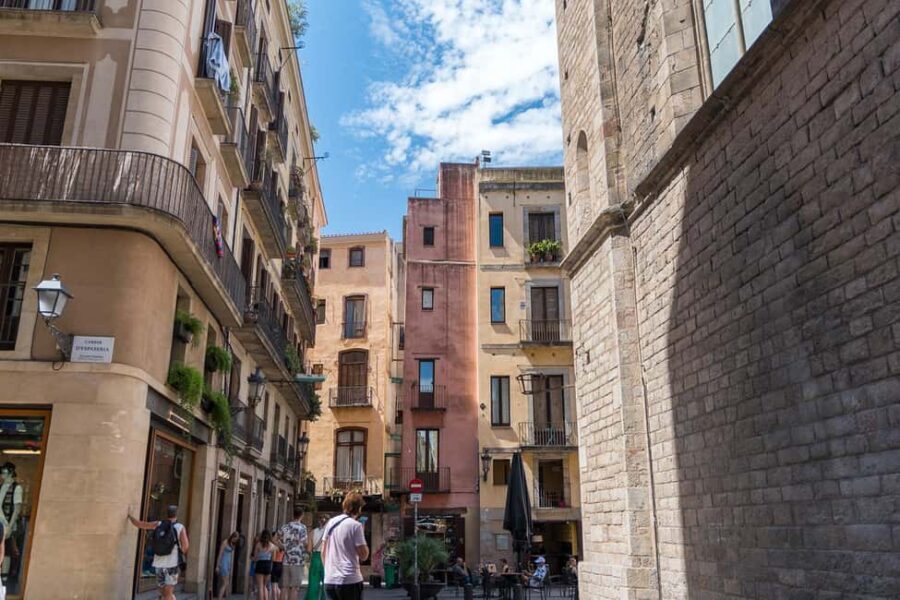 Guided tour of Barcelona in French (Old Town & Instagram spots) - Who Will Love This Experience?