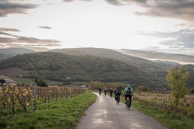 Guided tour of Beaujolais by electric bike and wine tasting - Discovering Beaujolais on Two Wheels