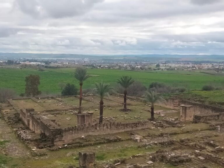 Guided tour of Medina Azahara only in french - Discovering Medina Azahara: A Rich Historical Landscape