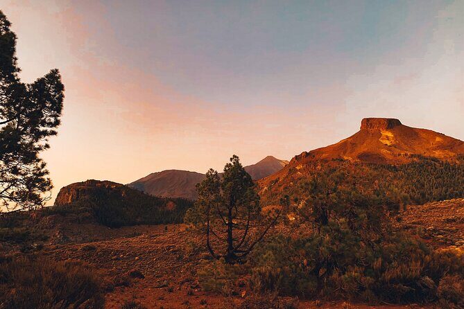 Guided Tour to Teide National Park in Tenerife - Real Traveler Insights