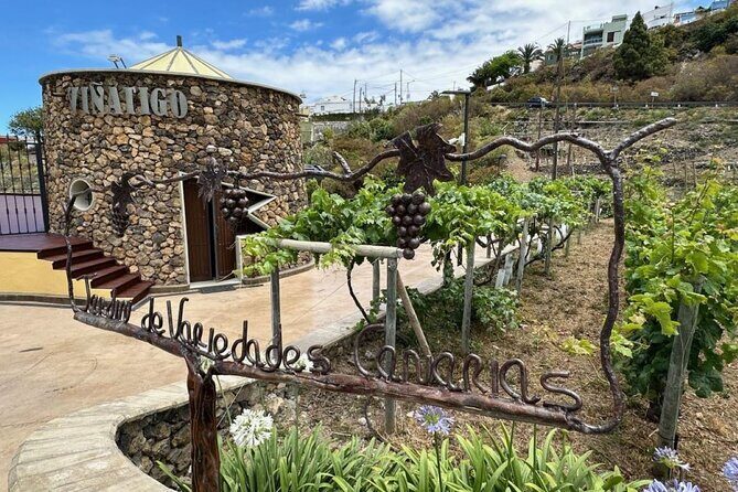 Guided Tour with 6 Wine Tasting - The Unique Touches That Make This Tour Special