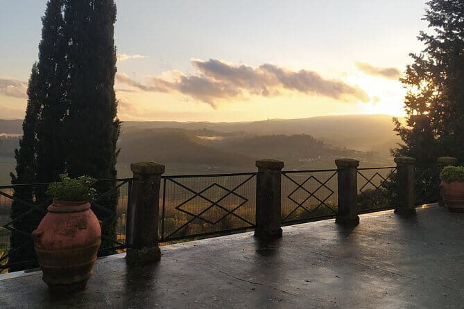 Guided tour with wine tasting and local organic products - What Travelers Say: Authentic Feedback