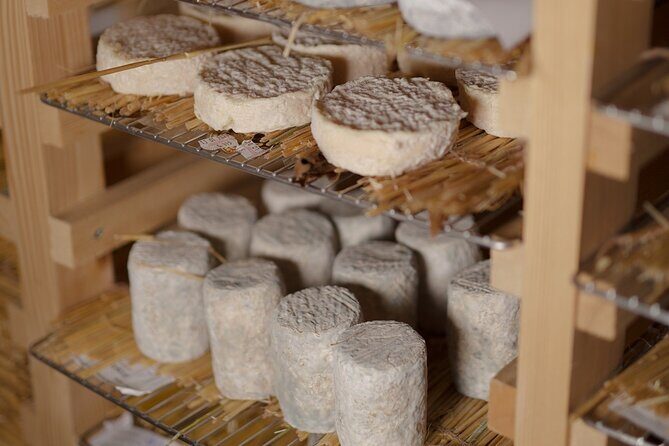 Guided visit of the Cheese Museum with Tasting Included - Is this Tour Worth It?