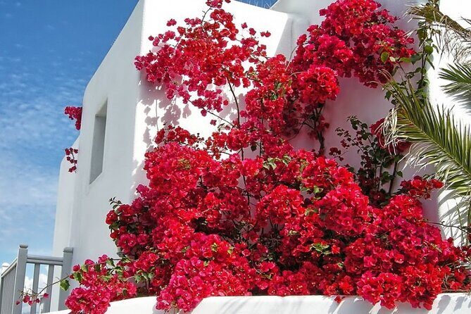 Guided Walking Tour Mykonos, Little Venice, Windmills, Beaches - The Sum Up: Who Will Love This Tour?