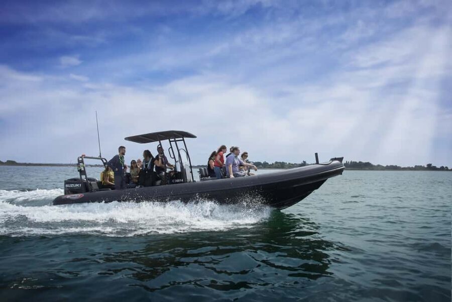 Gulf of Morbihan cruise with/without stopover on Île-aux-Moines - An In-Depth Look at the Gulf of Morbihan Tour